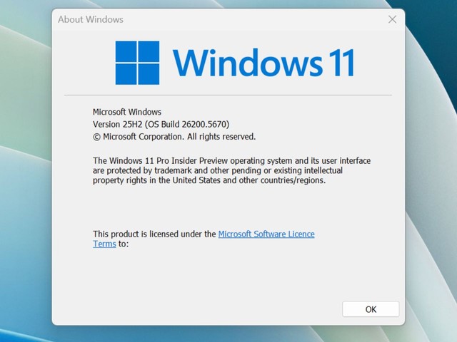 tiny 11 OS 25H2 版本可供下載 去除不必要元件 無需登入微軟戶口 - 電腦領域 HKEPC Hardware - 全港 No.1 PC網站